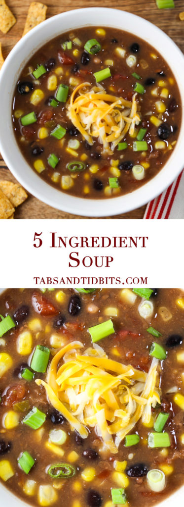 5 Ingredient Soup - Tabs & Tidbits